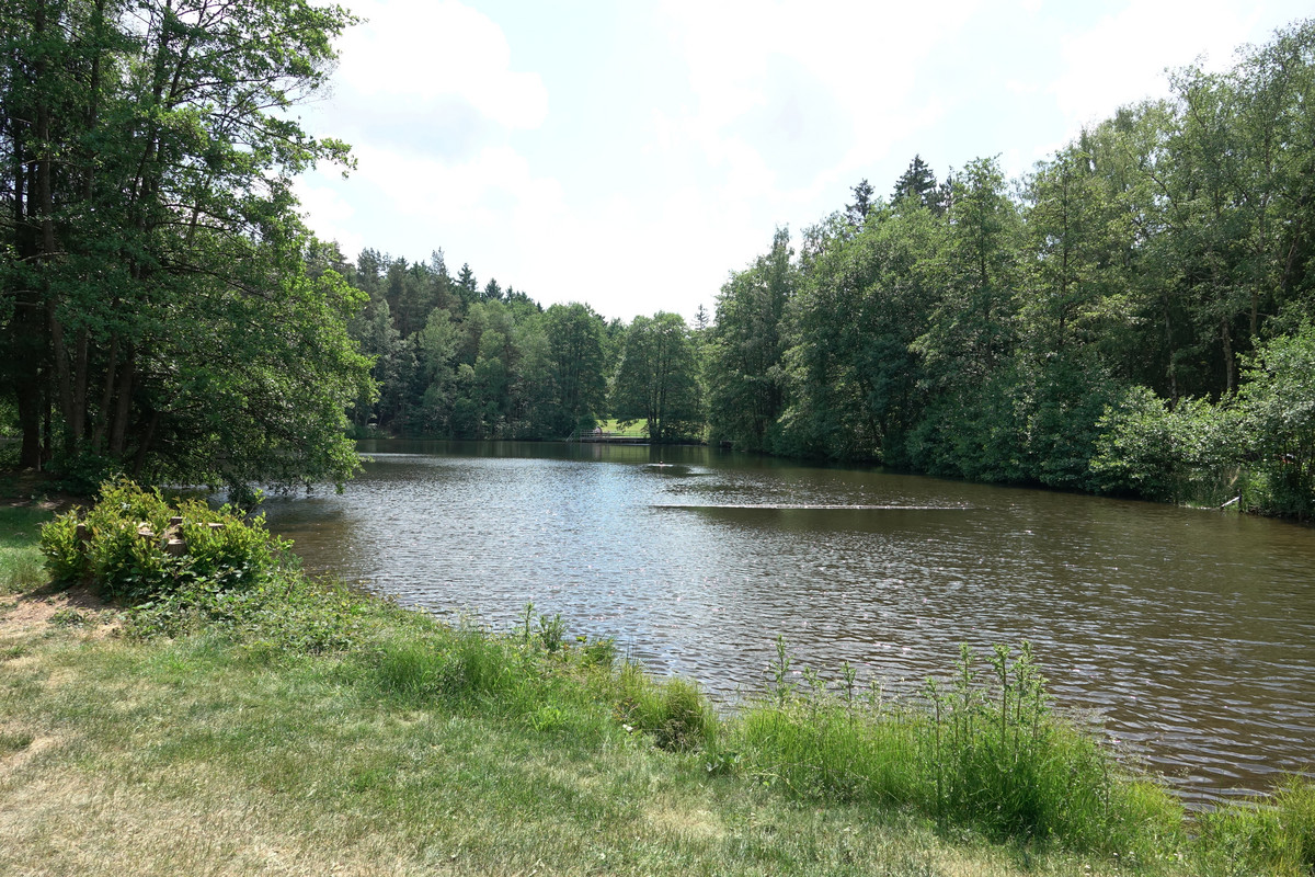 Blaualgen am Waldsee Argenthal . Badeseen